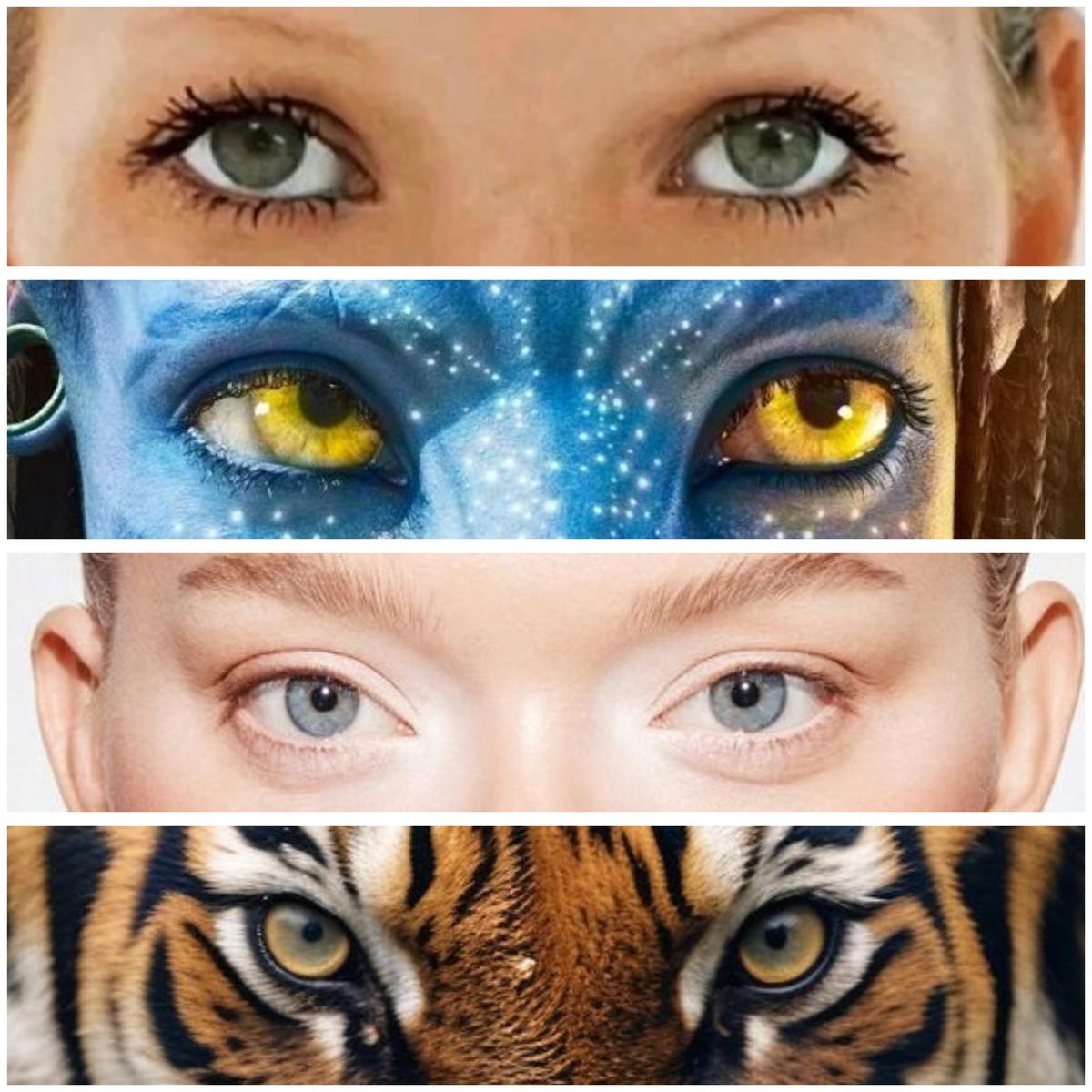 Wide Set Eyes: Your Complete Style Guide – velvetimagelab